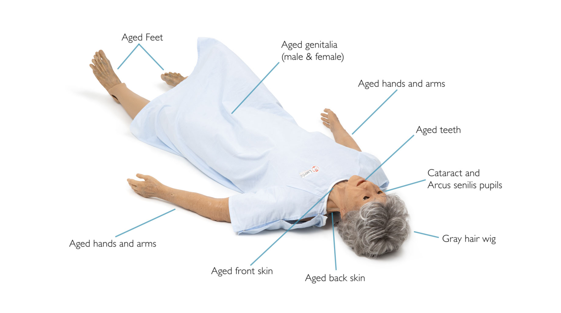 Nursing Anne Simulator Available at Pocket Nurse®